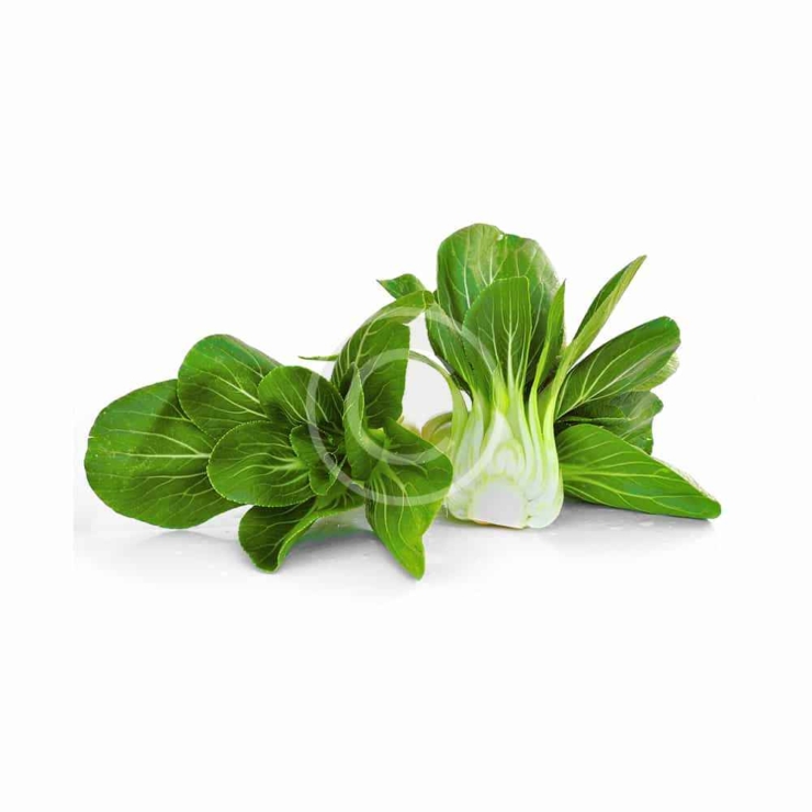 Botanas Mexico